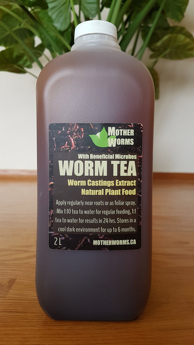 M) "Worm Tea" Worm Casting Extract 2L (SHIPS WHEN TEMPS ABOVE 0°C ...